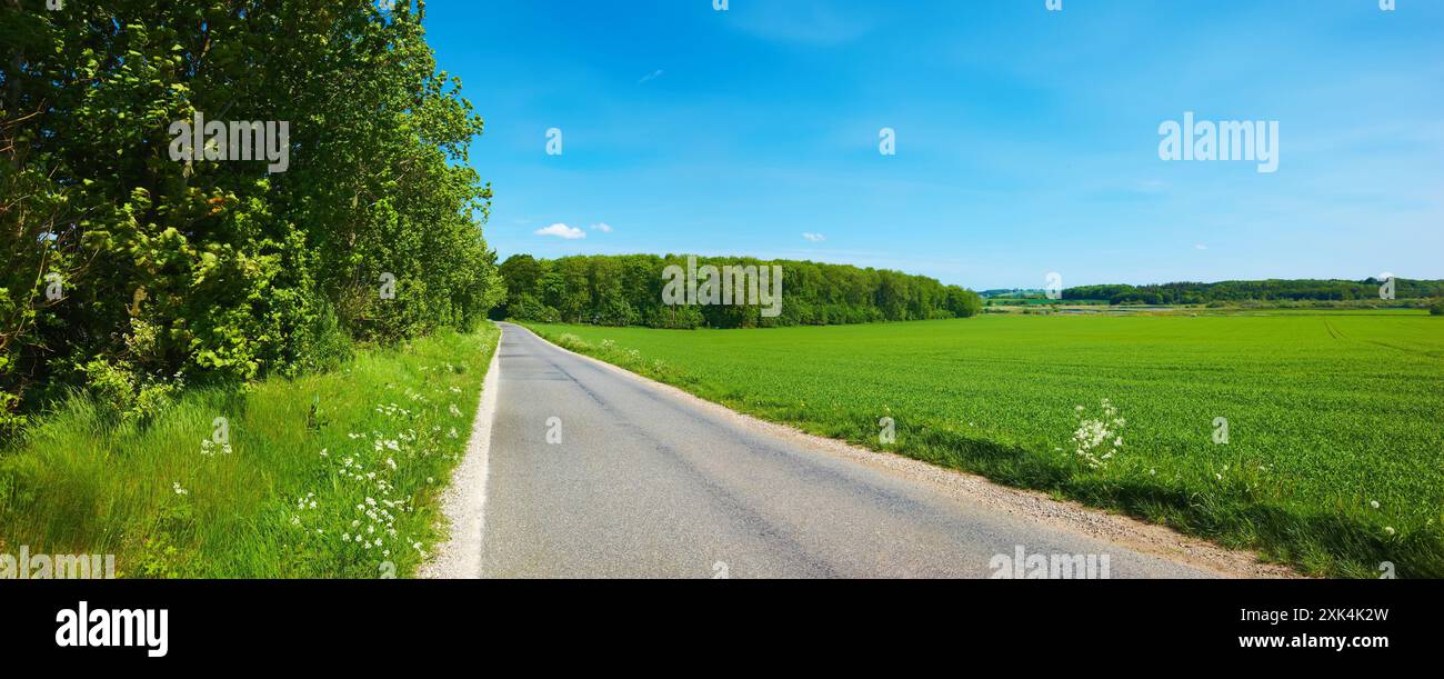 Road, nature and pathway to travel, grass and peace in environment ...