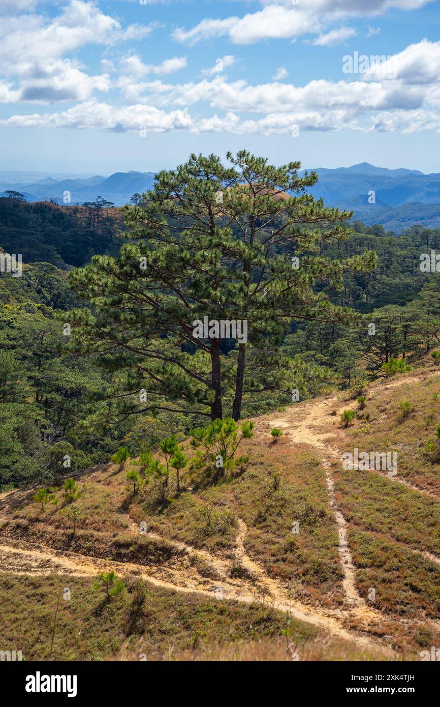 Ta Nang - Phan Dung route with milestone between 3 provinces through ...