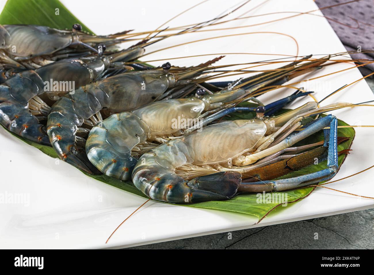 Raw blue river prawn in the plate for cooking Stock Photo - Alamy