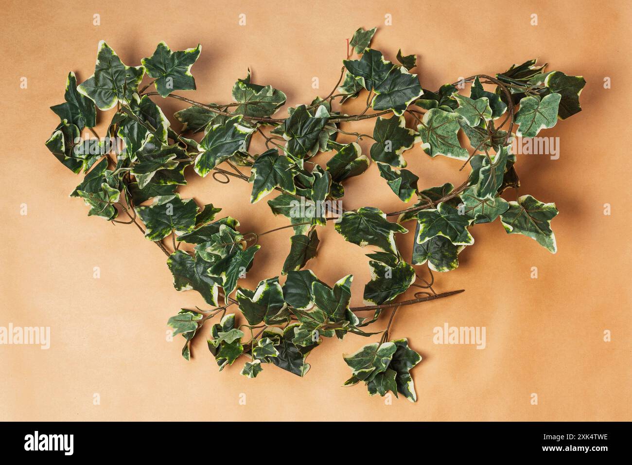 artificial ivy on craft paper Stock Photo - Alamy