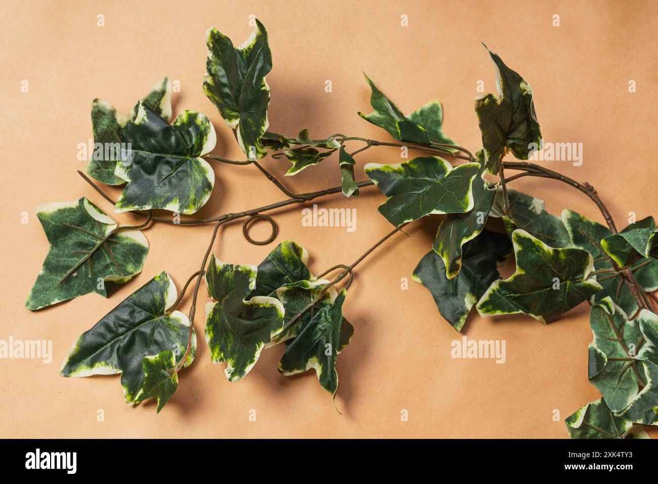 Artificial ivy hi-res stock photography and images - Alamy