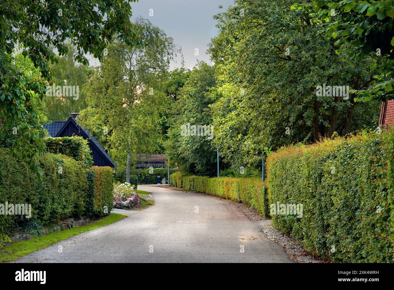 Road, village and pathway to travel, outdoor and peace in environment ...