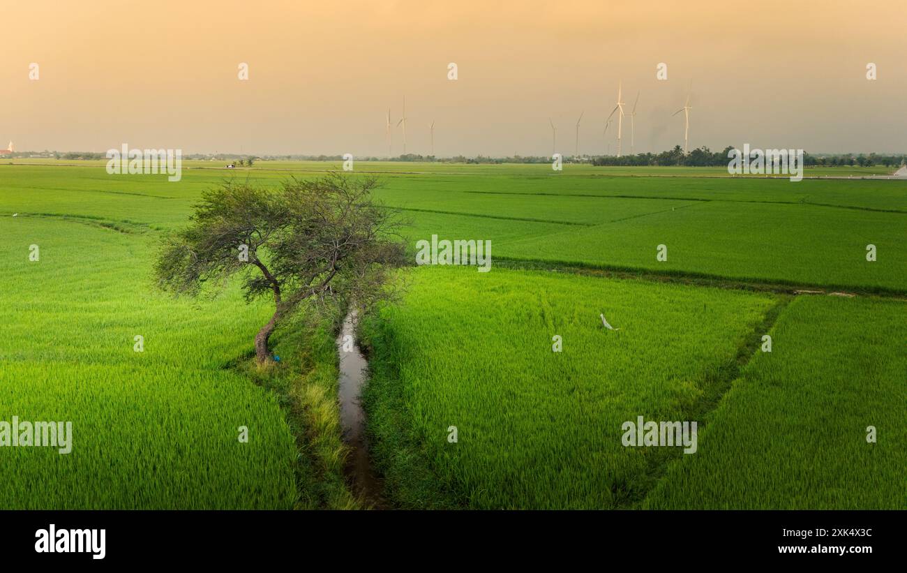 view of turbine green energy electricity, windmill for electric power ...