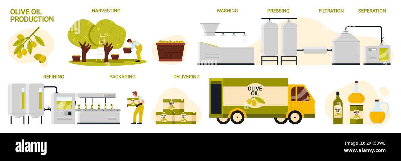 Olive oil production in factory, manufacture process stages set ...