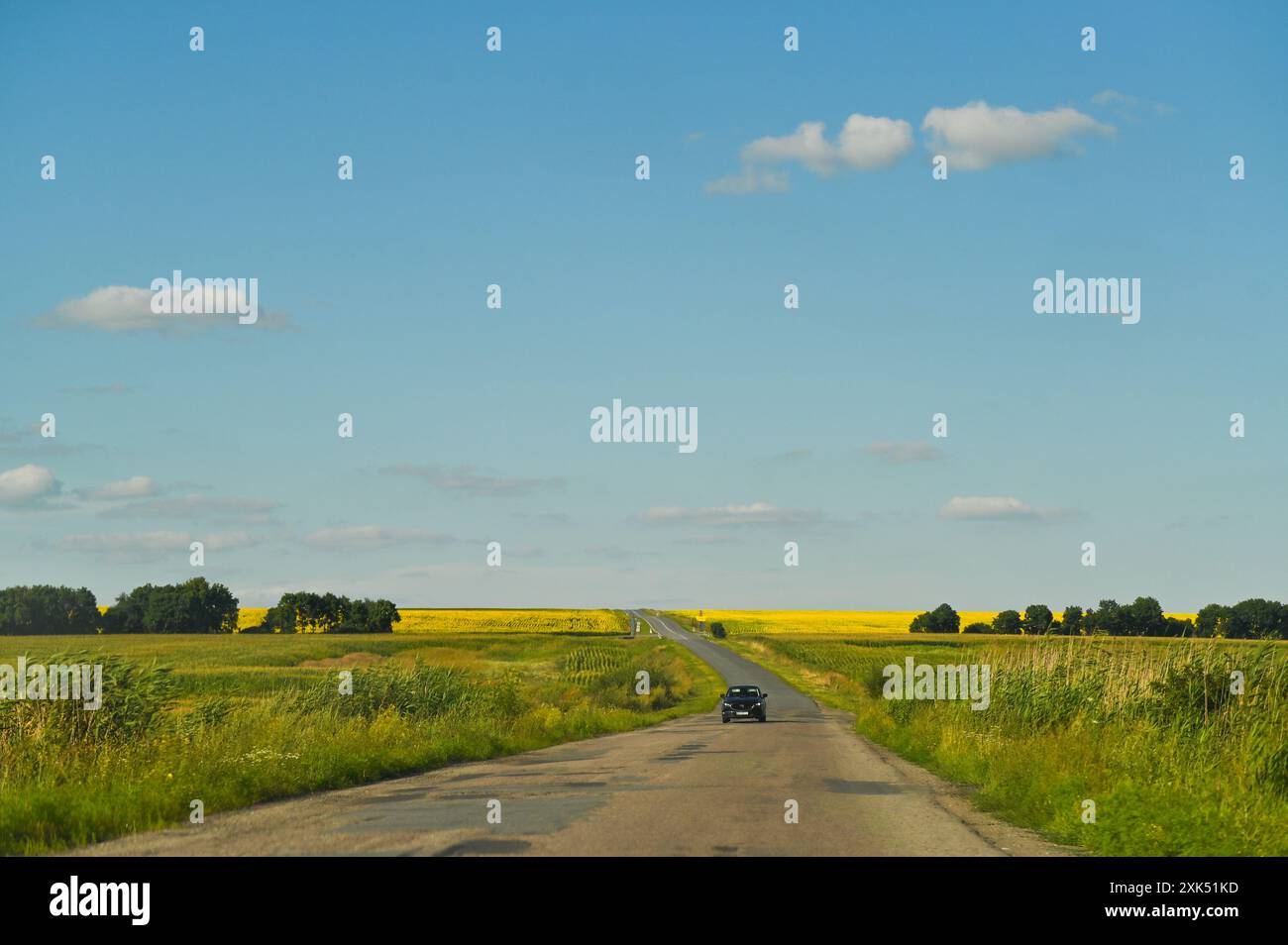 Worn patch grass hi-res stock photography and images - Alamy