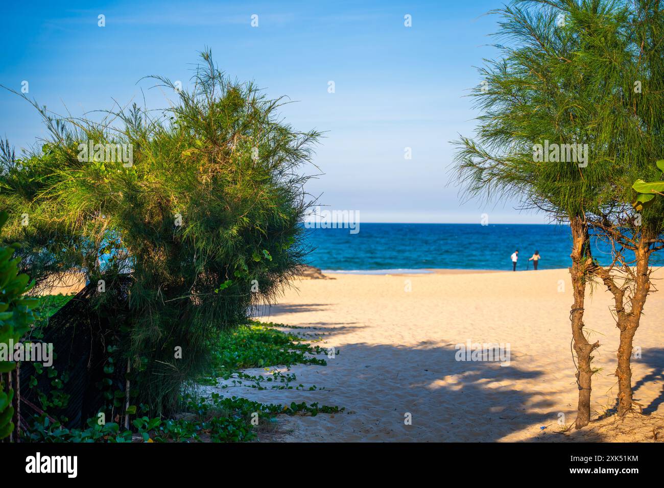 View of Bai Xep beach in Phu Yen province, Vietnam. Tropical coast from cliff above. Vietnam ...