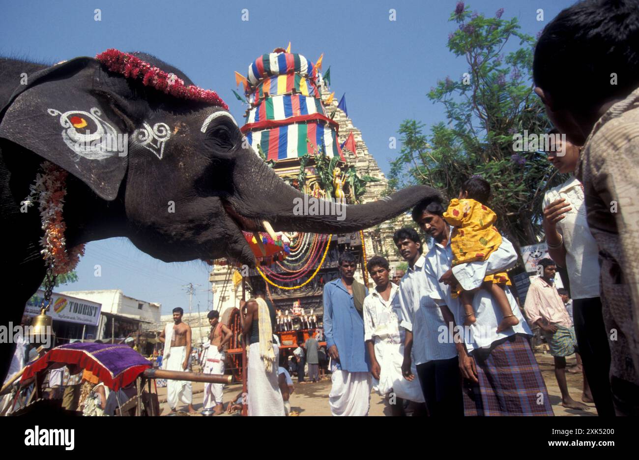 a elephant ceremony at the Holi Hindu Temple Festival at the Virupaksha ...