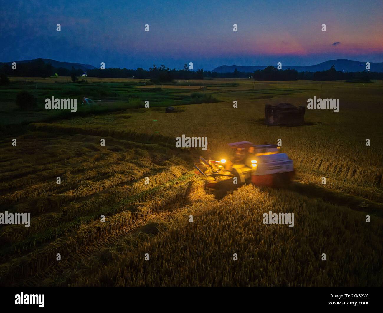 View of rice field in Phu Yen, Vietnam. Rice production in Vietnam in ...