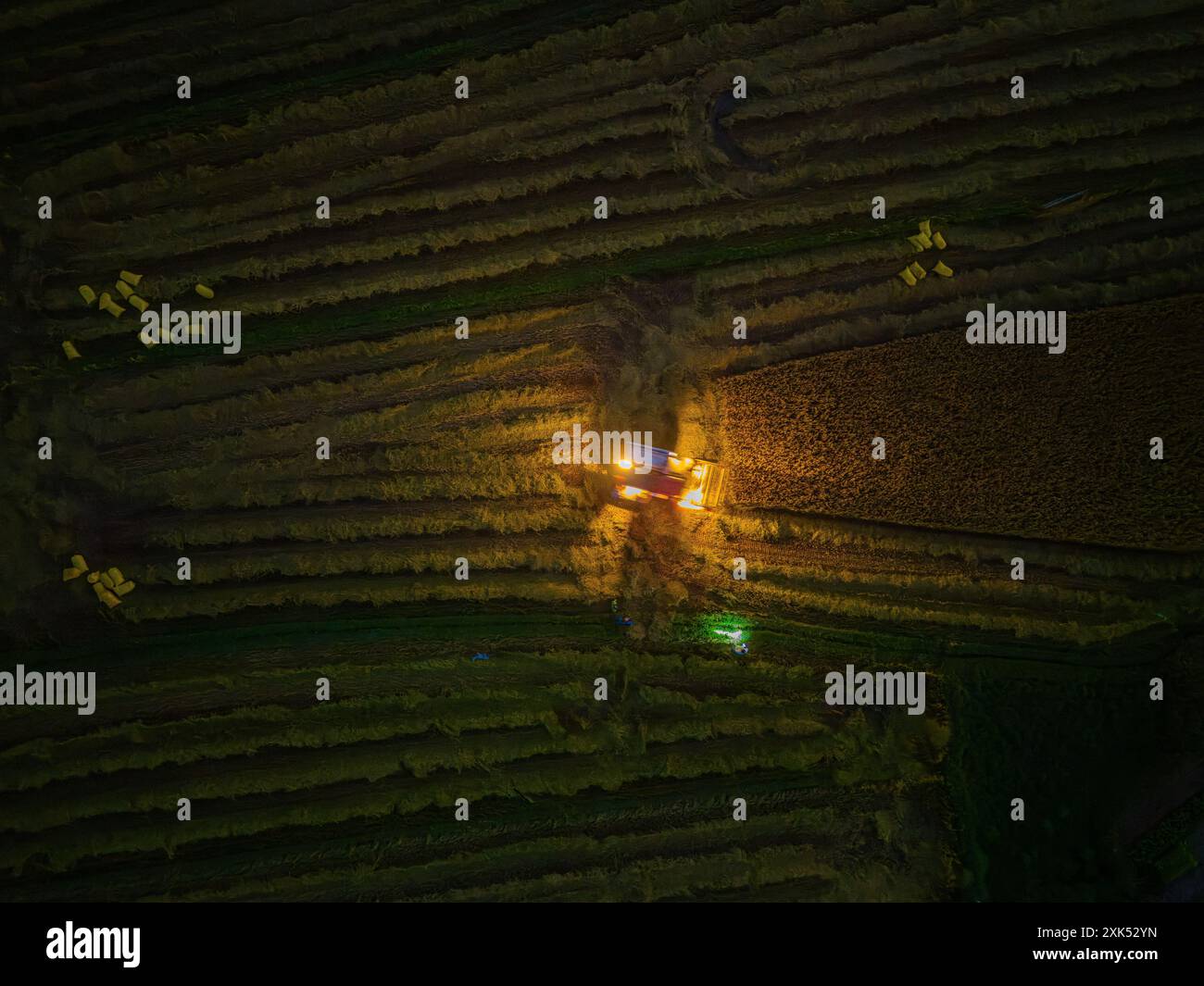 View of rice field in Phu Yen, Vietnam. Rice production in Vietnam in ...
