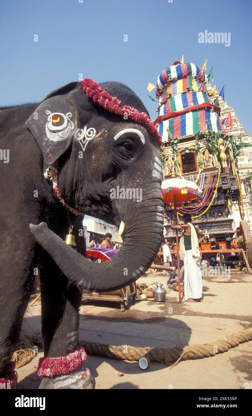 a elephant ceremony at the Holi Hindu Temple Festival at the Virupaksha ...