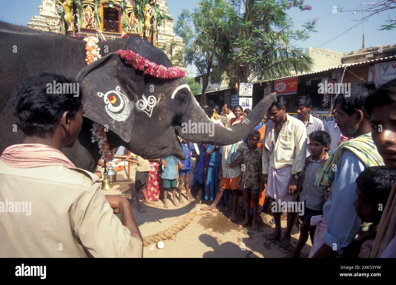 a elephant ceremony at the Holi Hindu Temple Festival at the Virupaksha ...