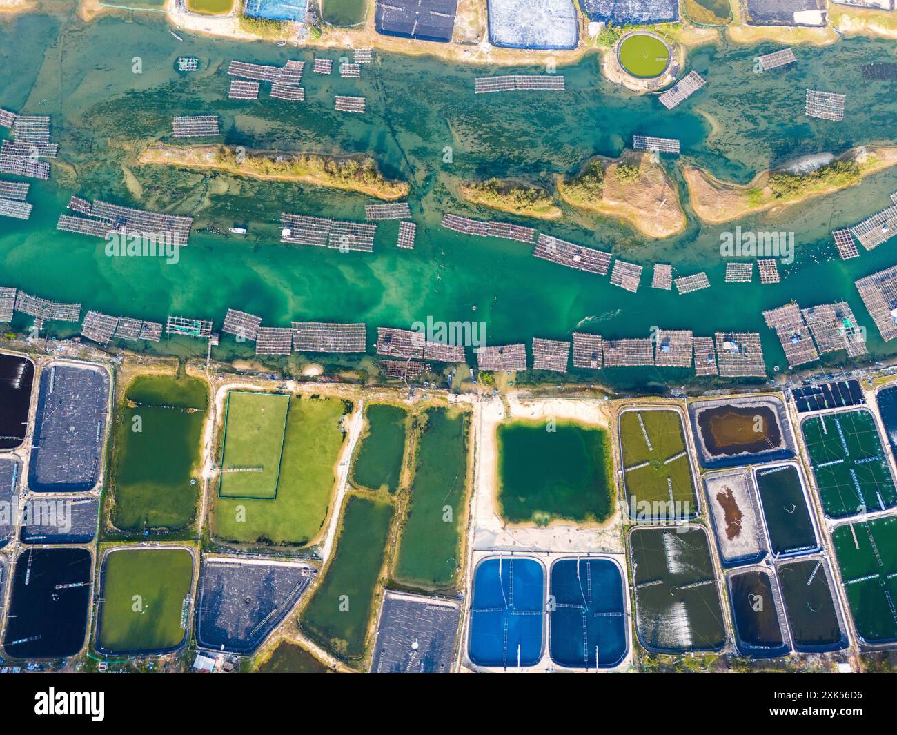 Aerial view of white shrimp, prawn, farm with aerator pump in O Loan ...