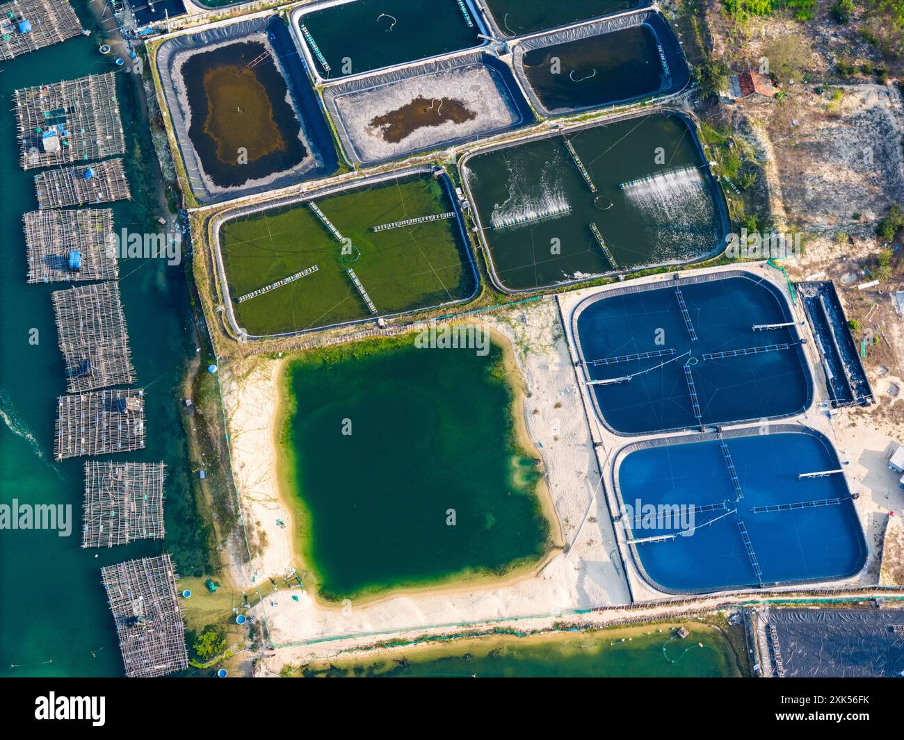 Aerial view of white shrimp, prawn, farm with aerator pump in O Loan ...