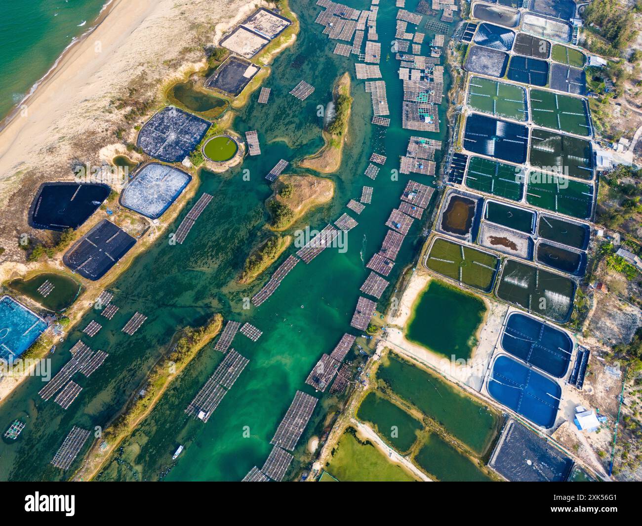 Aerial view of white shrimp, prawn, farm with aerator pump in O Loan ...