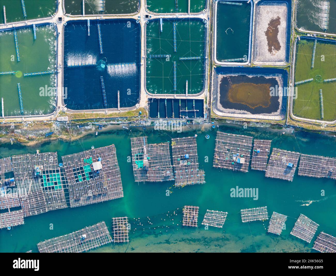 Aerial view of white shrimp, prawn, farm with aerator pump in O Loan ...