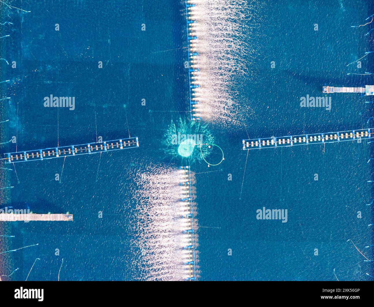 Aerial view of white shrimp, prawn, farm with aerator pump in O Loan ...