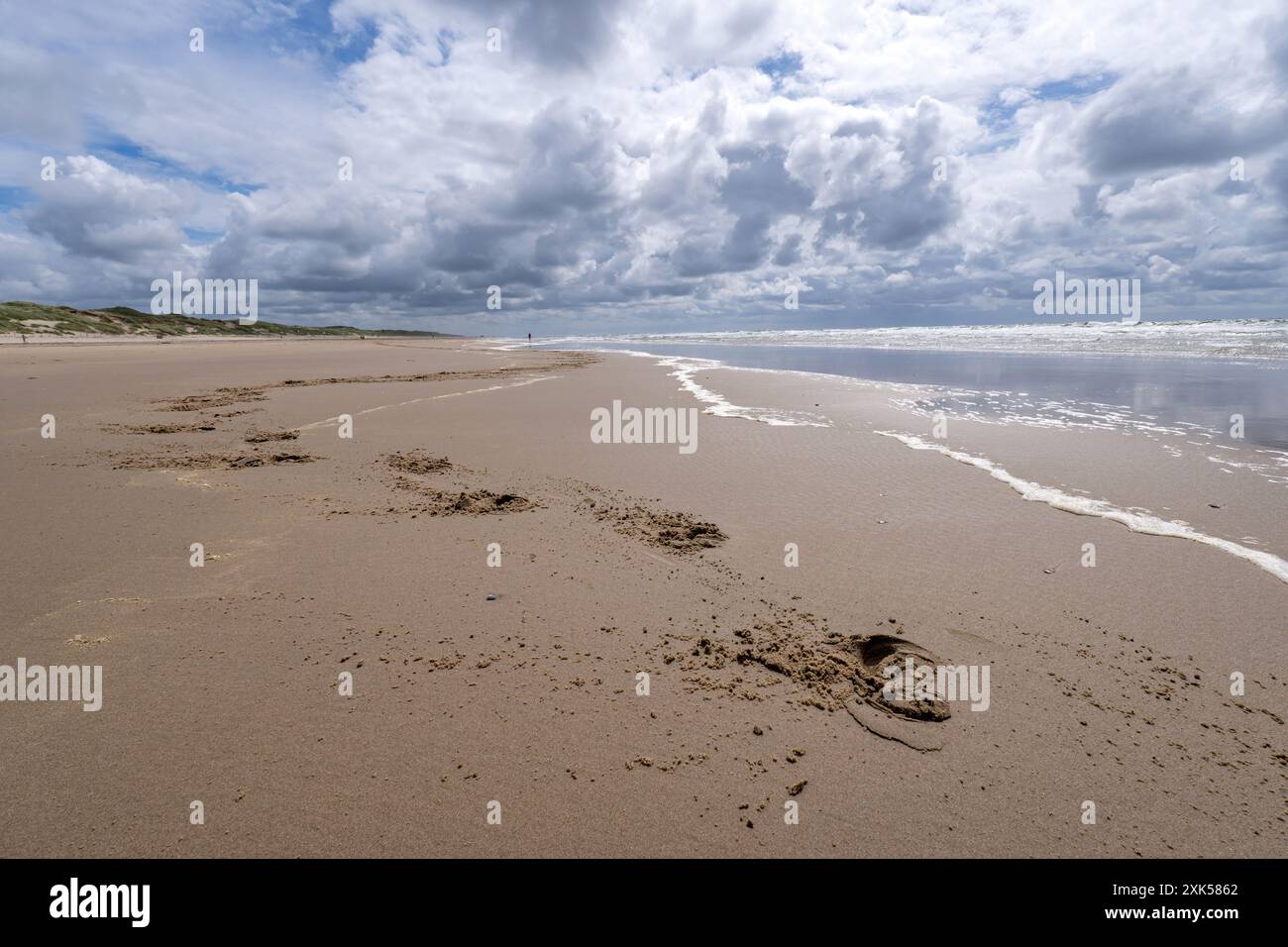 hoof prints on the North Sea beach in Callantsoog, Netherlands Stock ...
