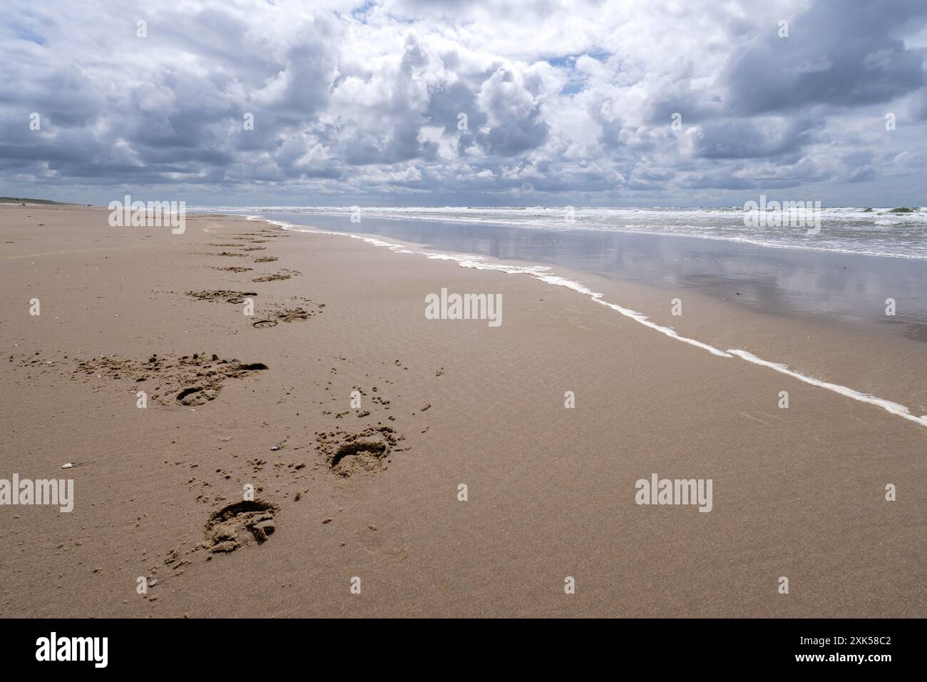 hoof prints on the North Sea beach in Callantsoog, Netherlands Stock ...