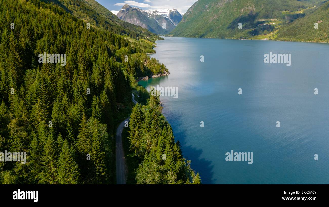 A winding road snakes through a dense forest of evergreen trees ...