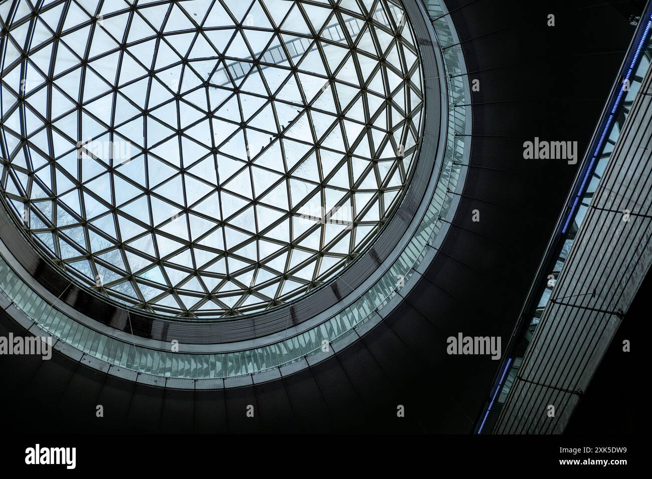 Detail of skylight structure roof, with tree branches view above. At ...