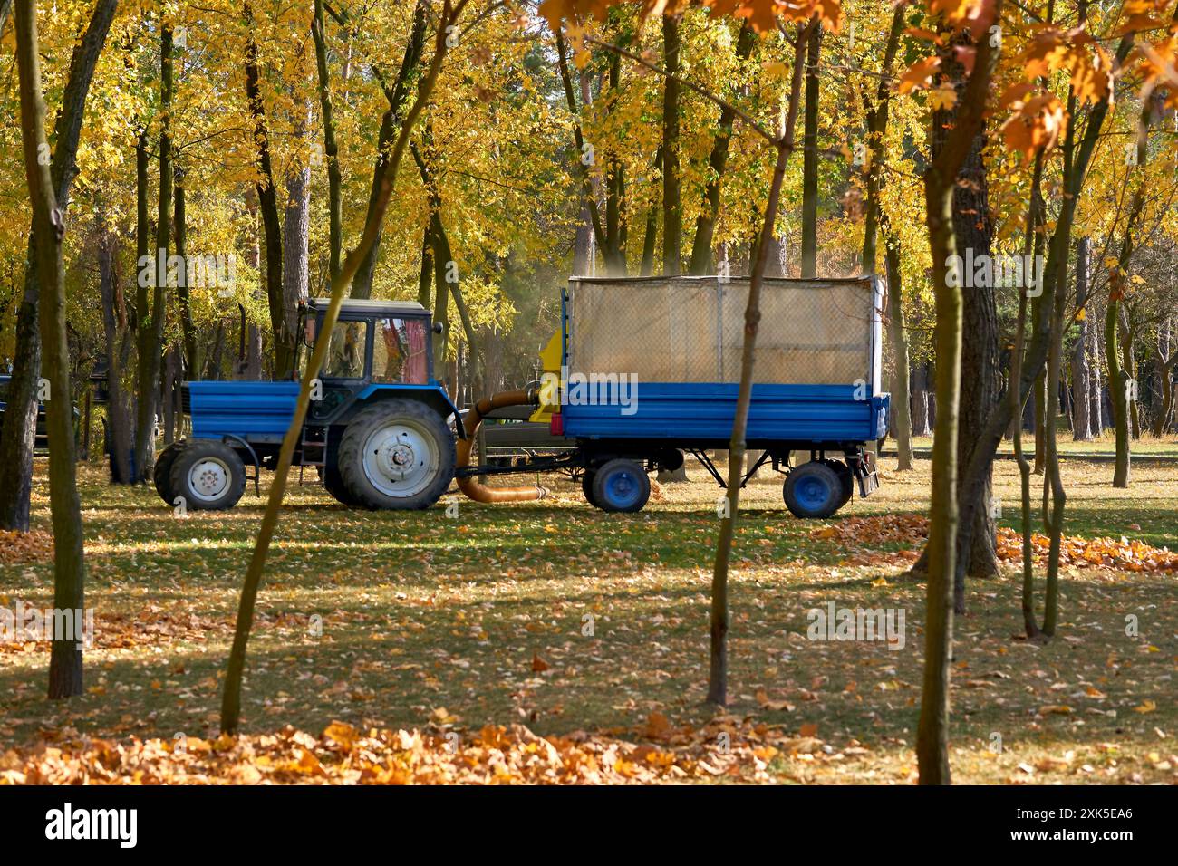 the action of making something clean, especially the inside of a house ...