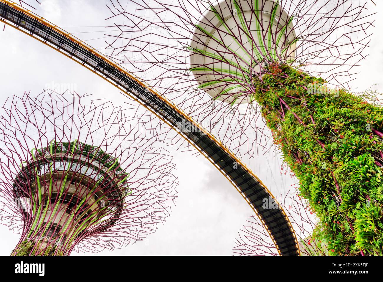 Amazing bottom view of the Supertrees, Gardens by the Bay Stock Photo - Alamy