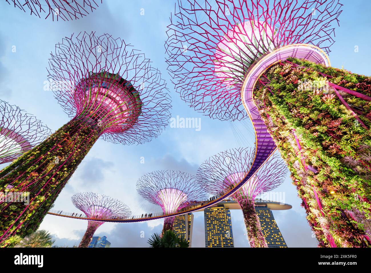 Giant supertree hi-res stock photography and images - Alamy