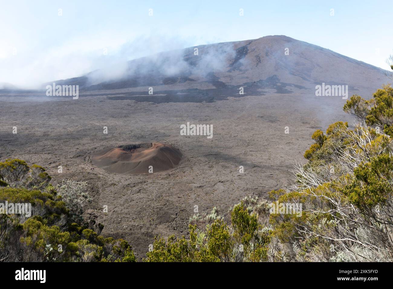 Formica in africa hi-res stock photography and images - Alamy