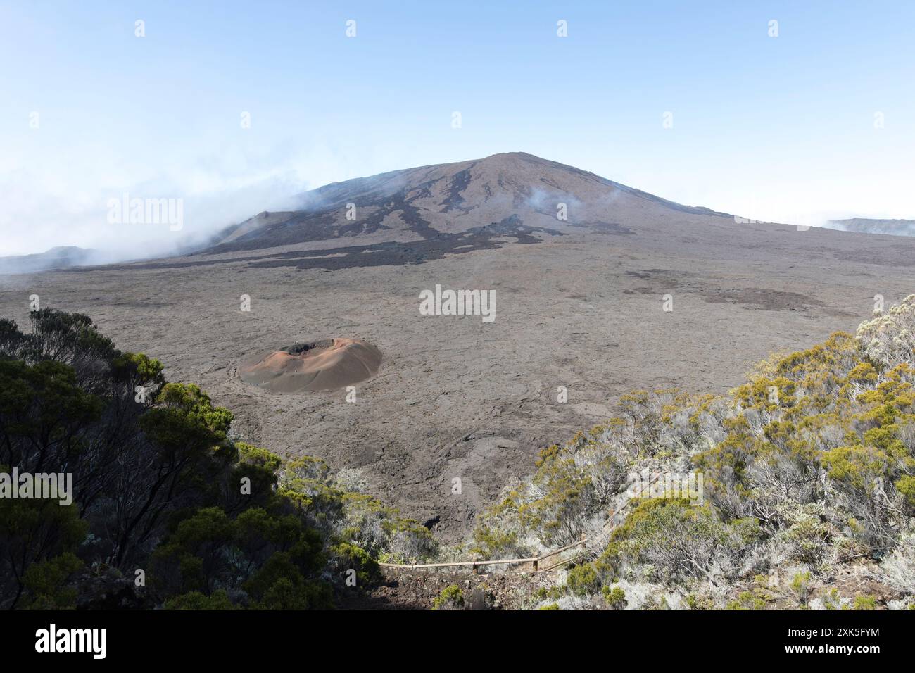 Formica in africa hi-res stock photography and images - Alamy