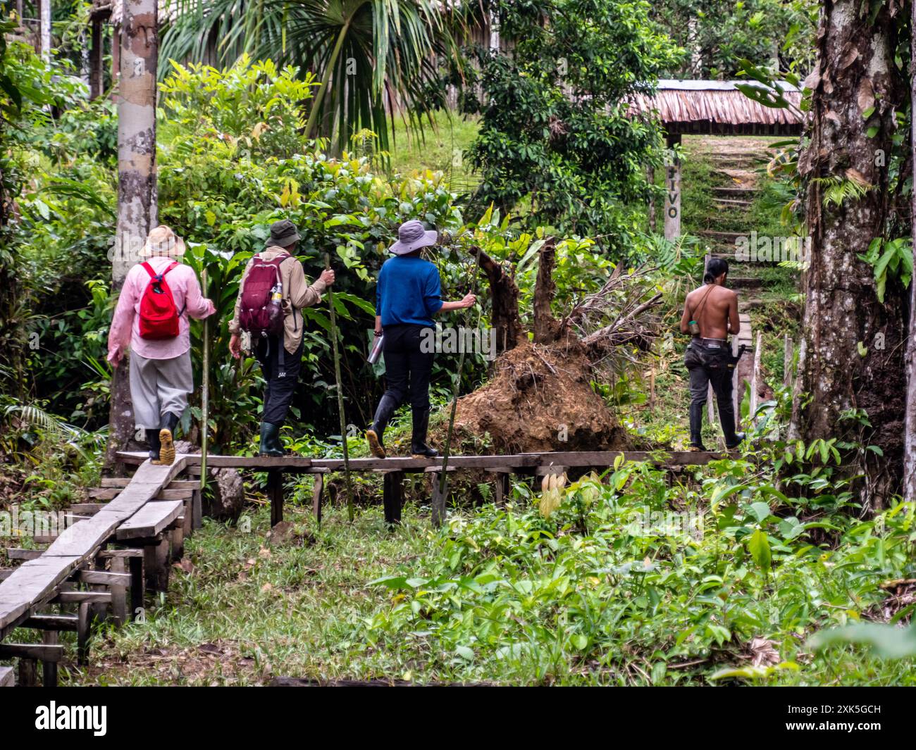 Leticia, Colombia - Dec, 2021: Trekking through rainforest of the ...