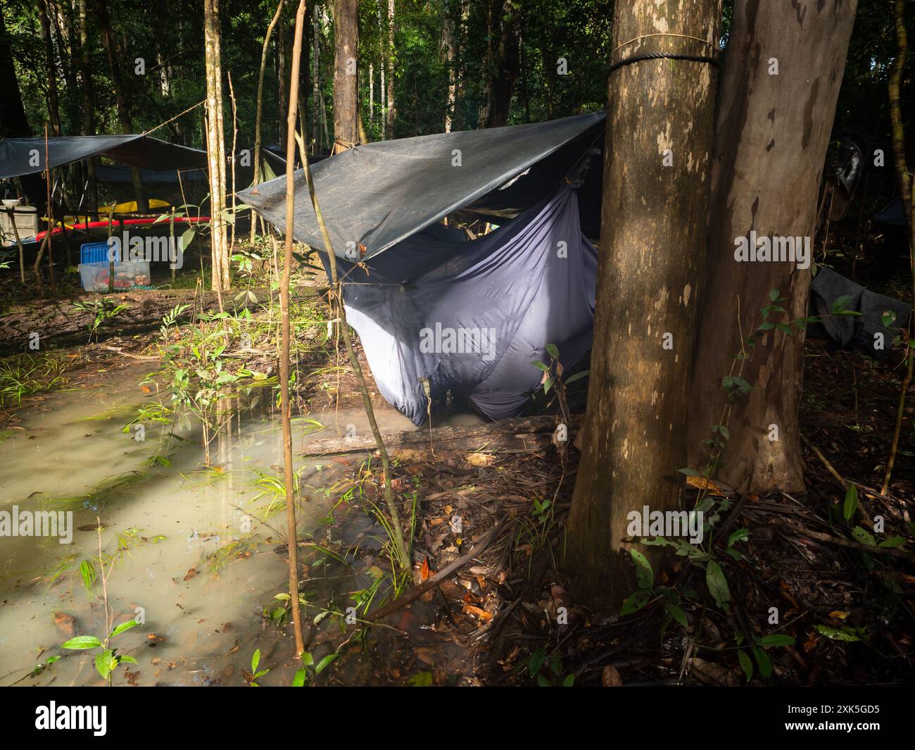 Jungle, Brazil - March 2018: Camp with hammocks in the amazon jungle ...