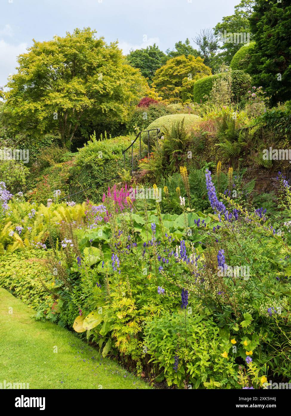 Mixed border hi-res stock photography and images - Alamy