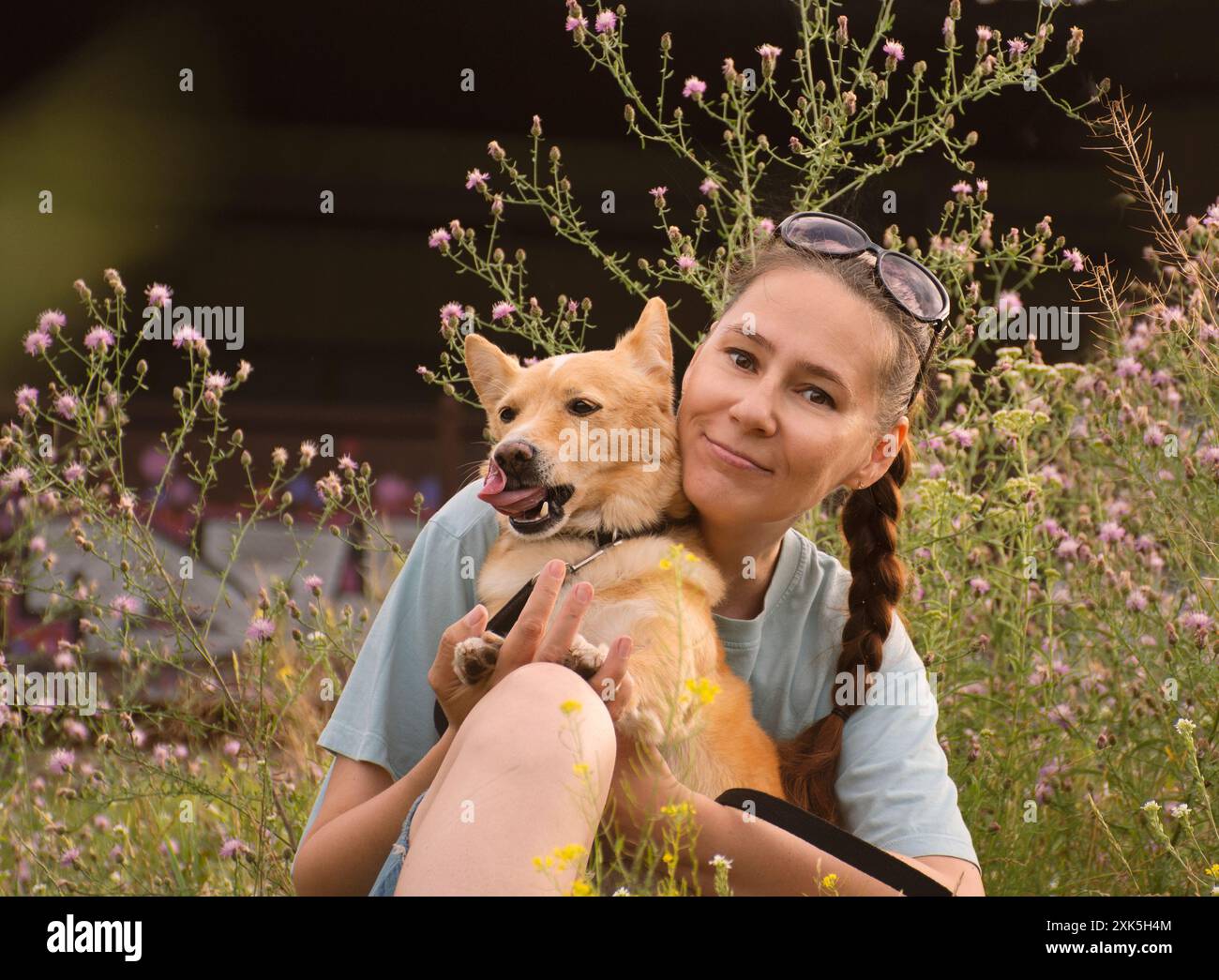 Red dog arms hi-res stock photography and images - Alamy