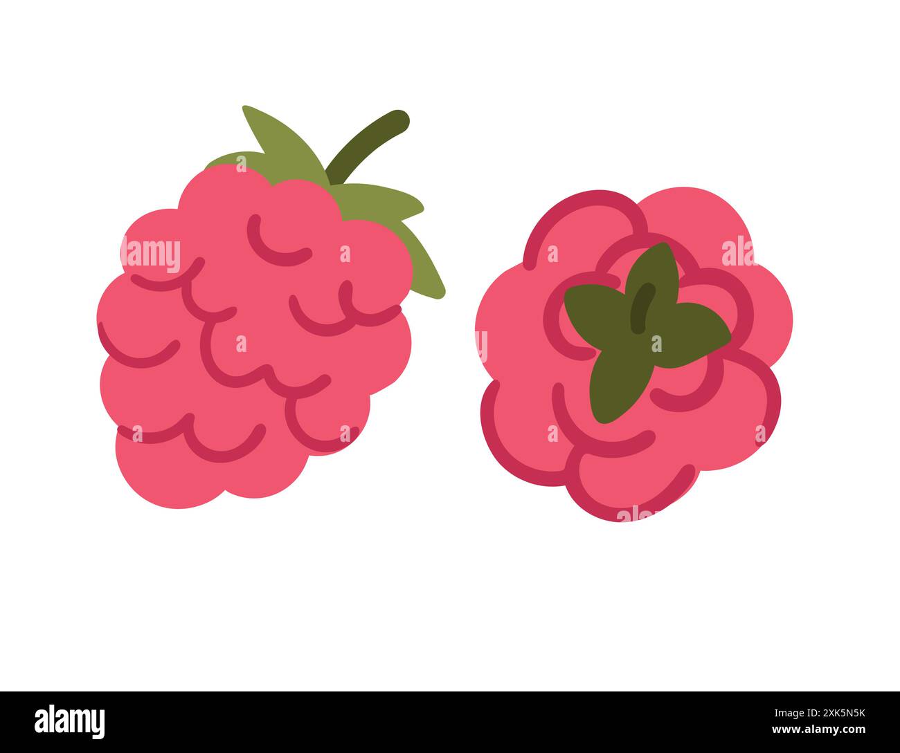 Red raspberry with green leaves. Two berries, top view and side view ...