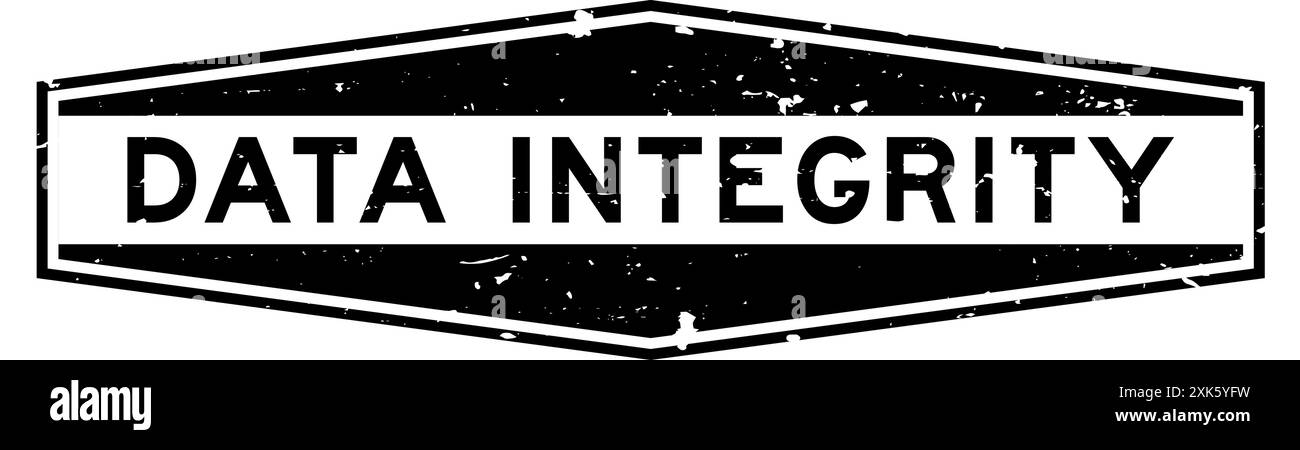 Grunge black data integrity word hexagon rubber seal stamp on white ...