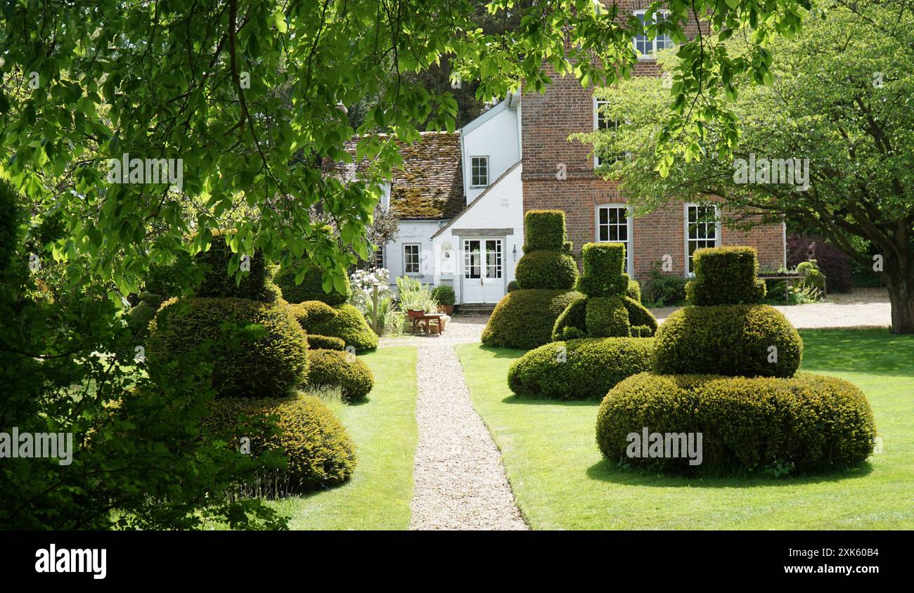 The Manor House at Hemmingford Grey with its impressive topiary Stock ...