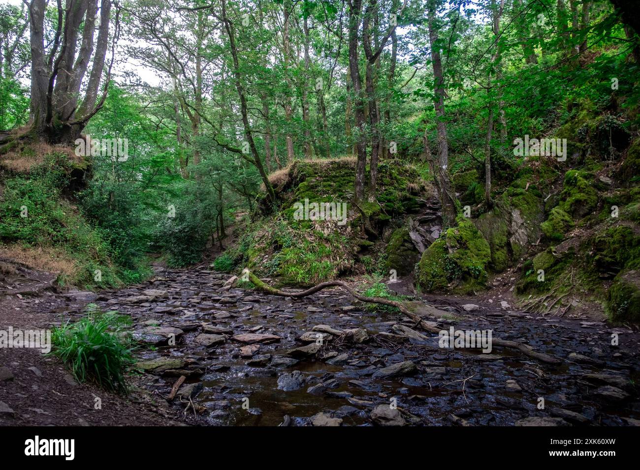 Arthur the king 2024 hi-res stock photography and images - Alamy