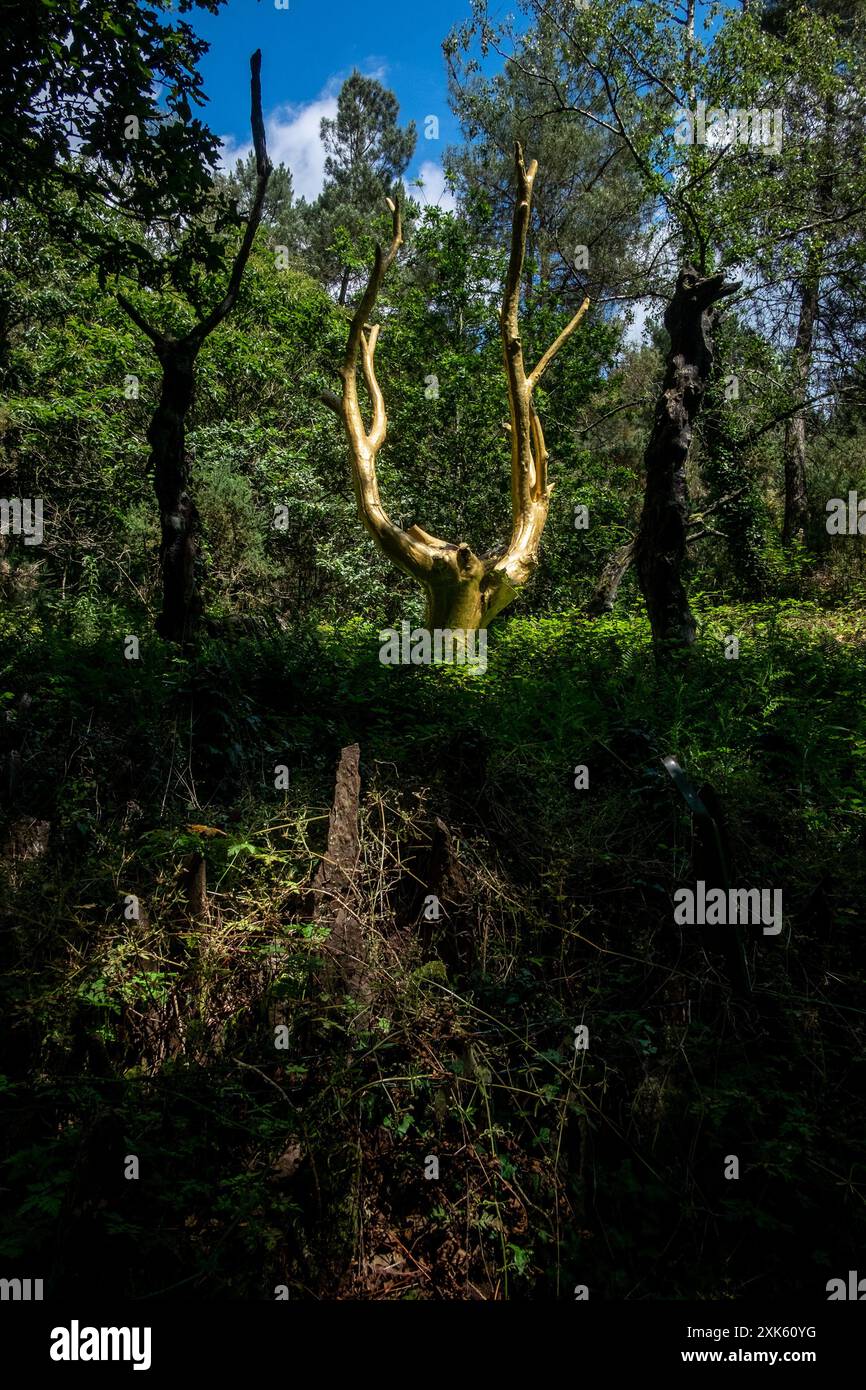 France. 13th July, 2024. Michael Bunel/Le Pictorium - Broceliande ...