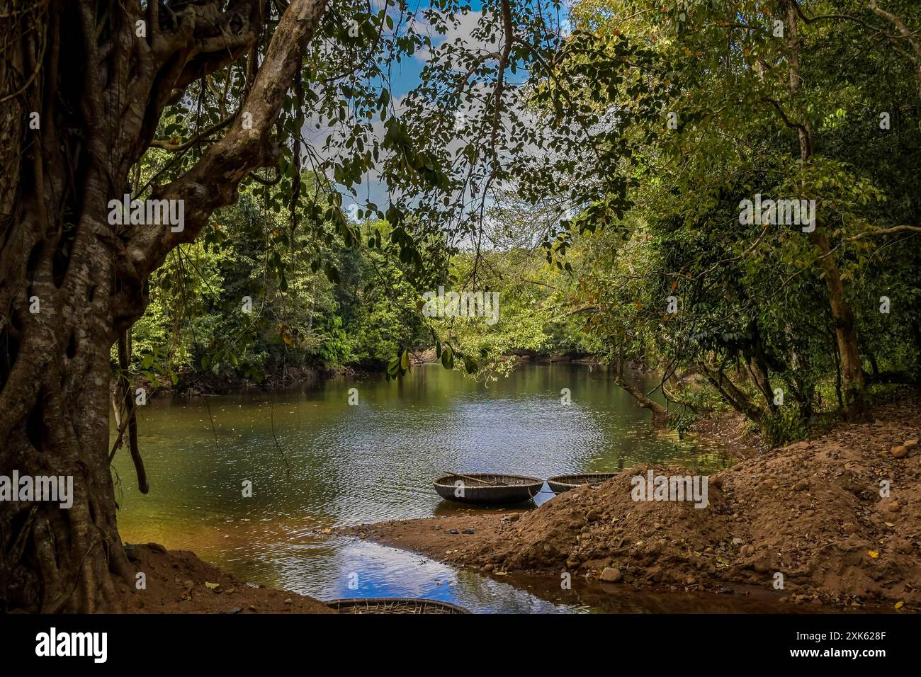 Konni kerala hi-res stock photography and images - Alamy
