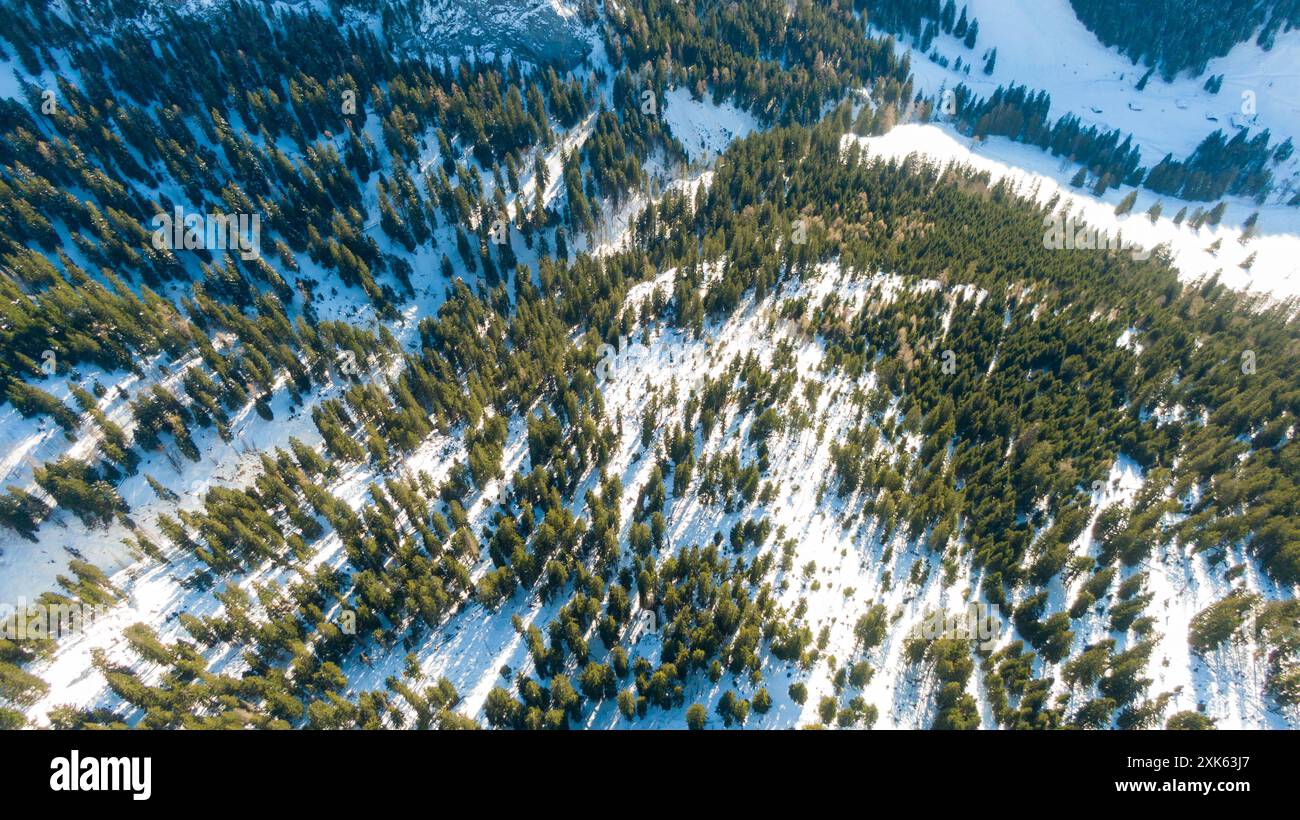 Aerial view on trees covered with snow in Hallstatt, Austria. Top view ...