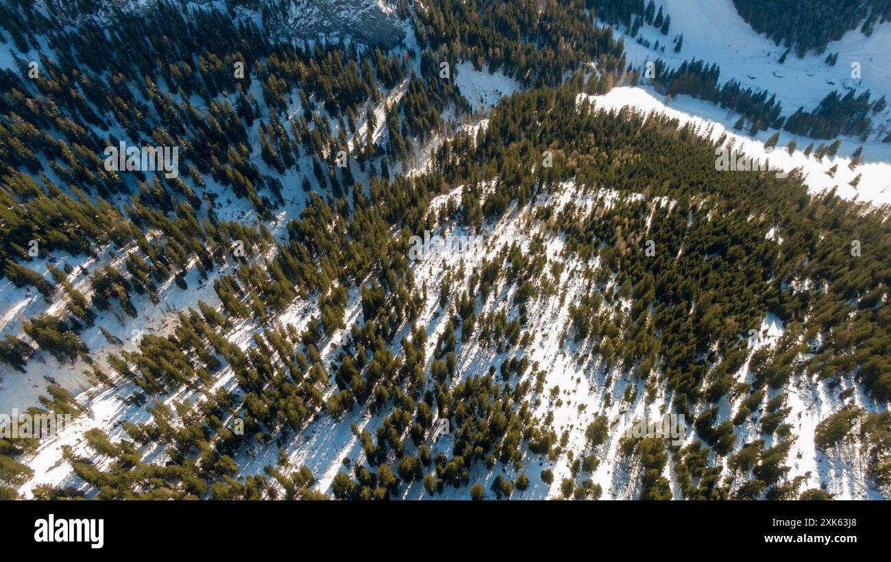 Aerial view on trees covered with snow in Hallstatt, Austria. Top view ...