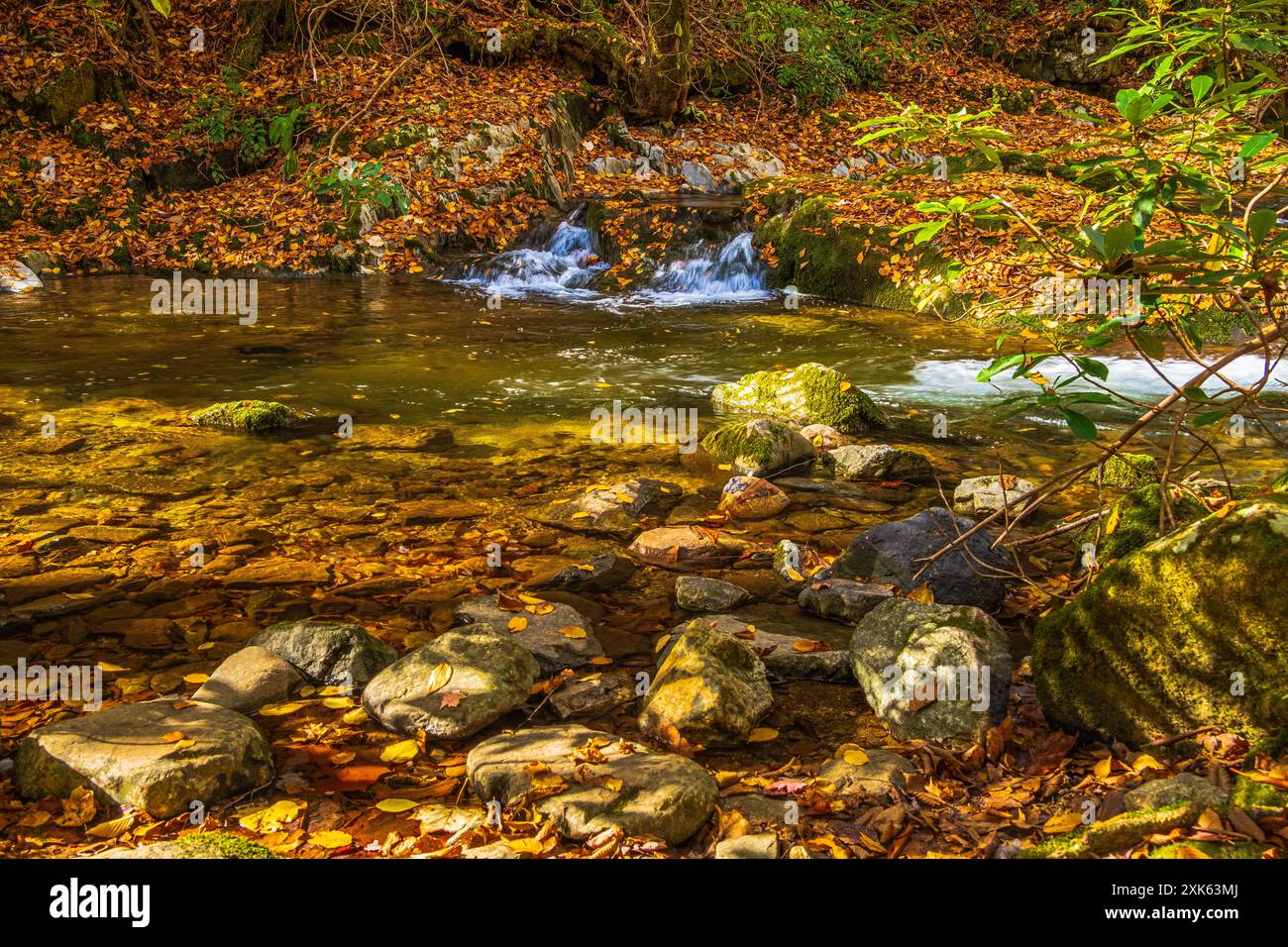 Rocky streambed illustrate low water on a small cascade in rural ...