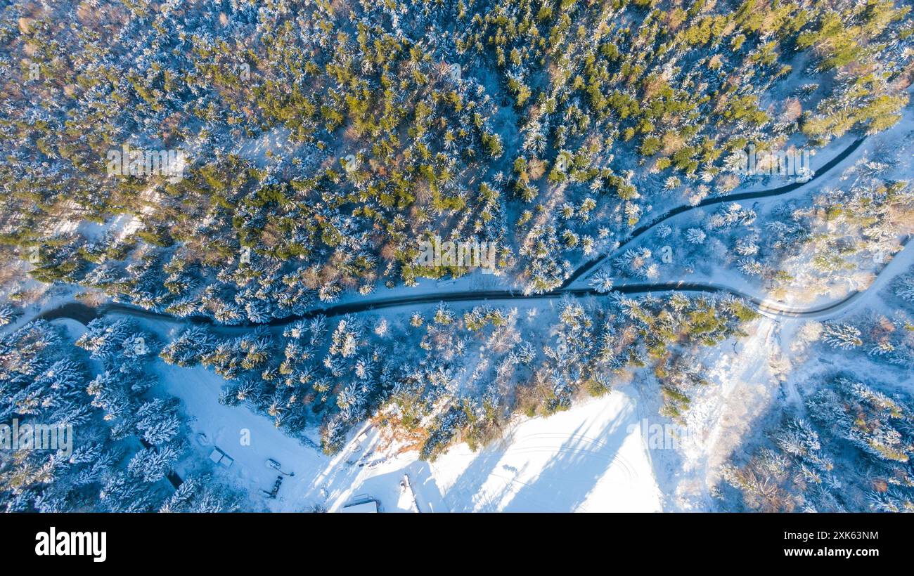 Aerial view on trees covered with snow in Hallstatt, Austria. Top view ...