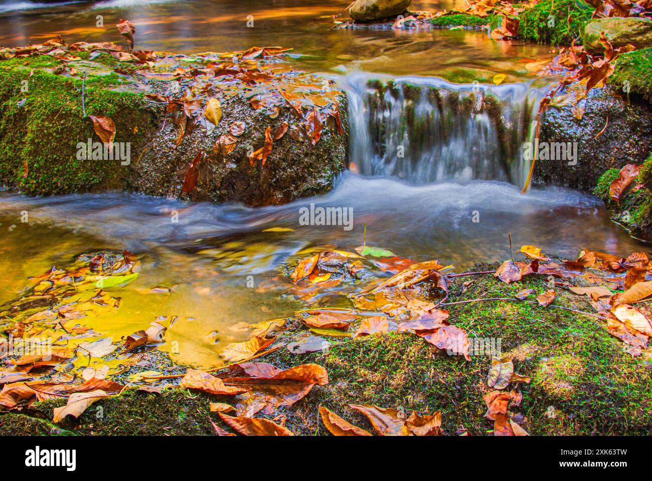 Fall leaves litter the streambed of the creek in rural Tennessee Stock ...