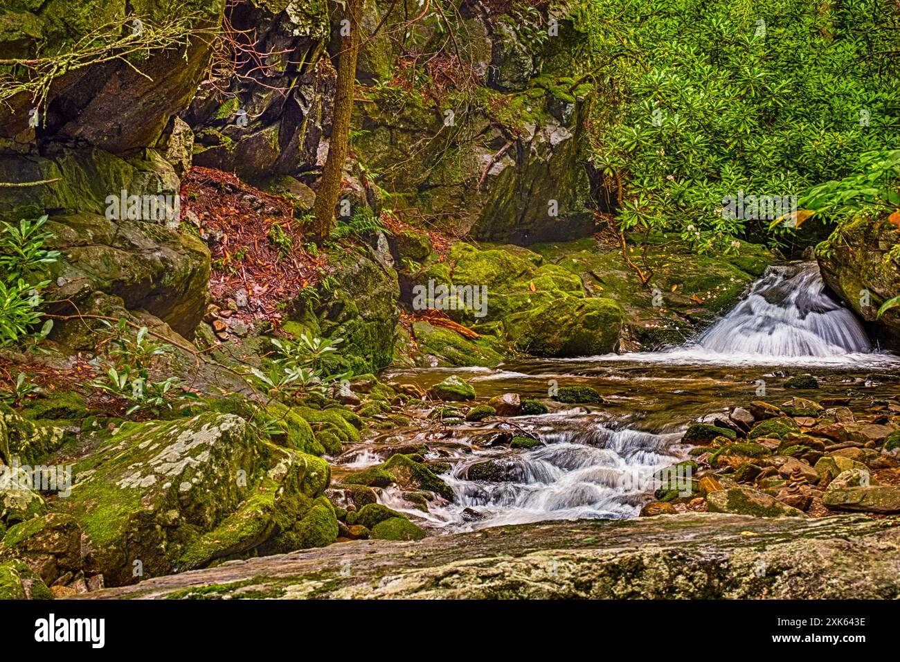 Wide view of Rocky Fork Falls as it tumbles over lichen covered rocks ...