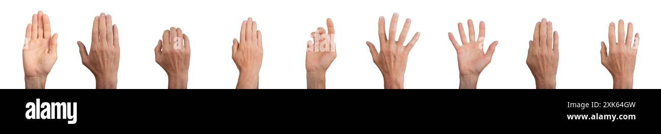 Hand gestures, palms set isolated on white background Stock Photo - Alamy