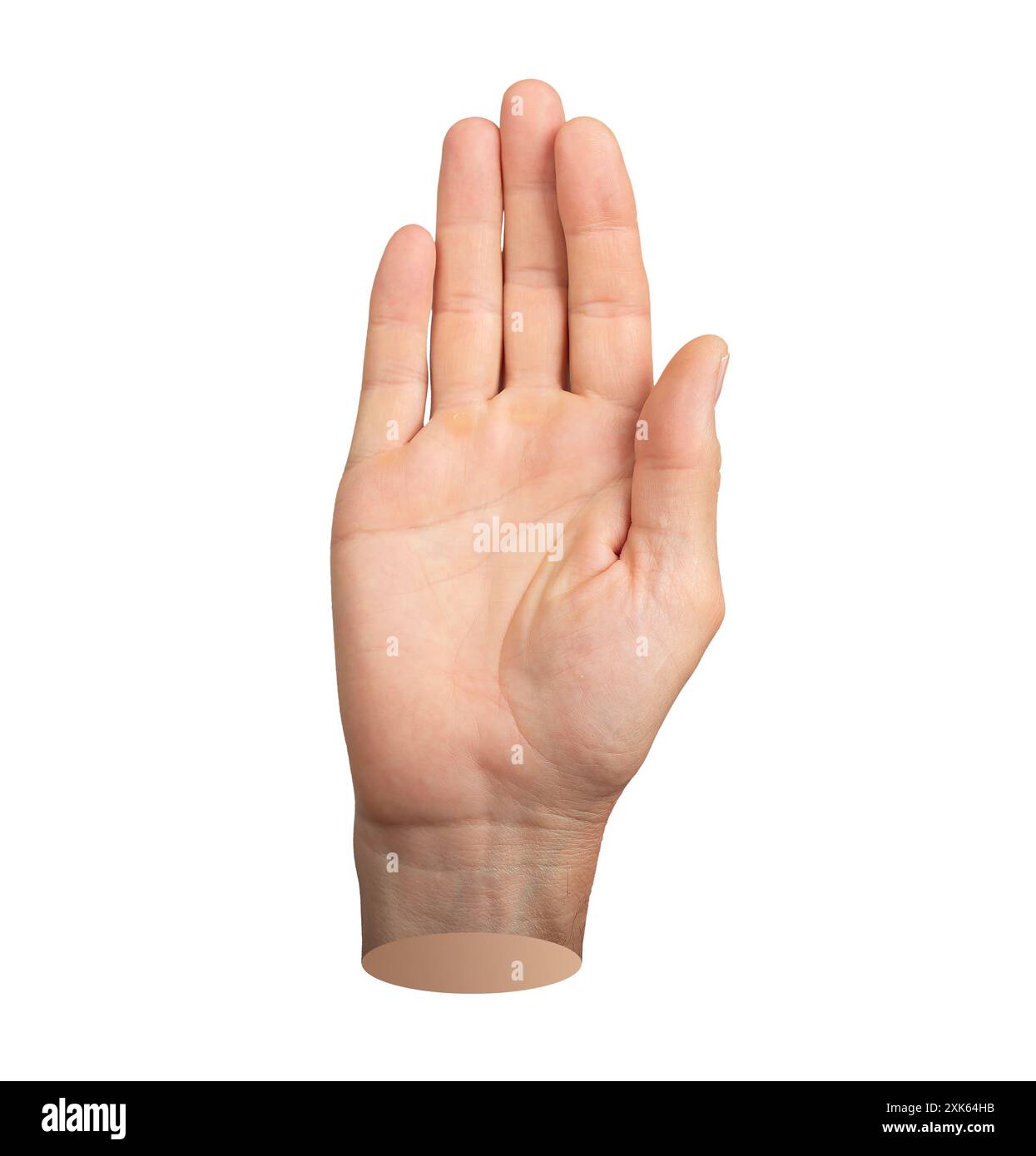 Palm hi, hand gesture, sign isolated on white background Stock Photo ...