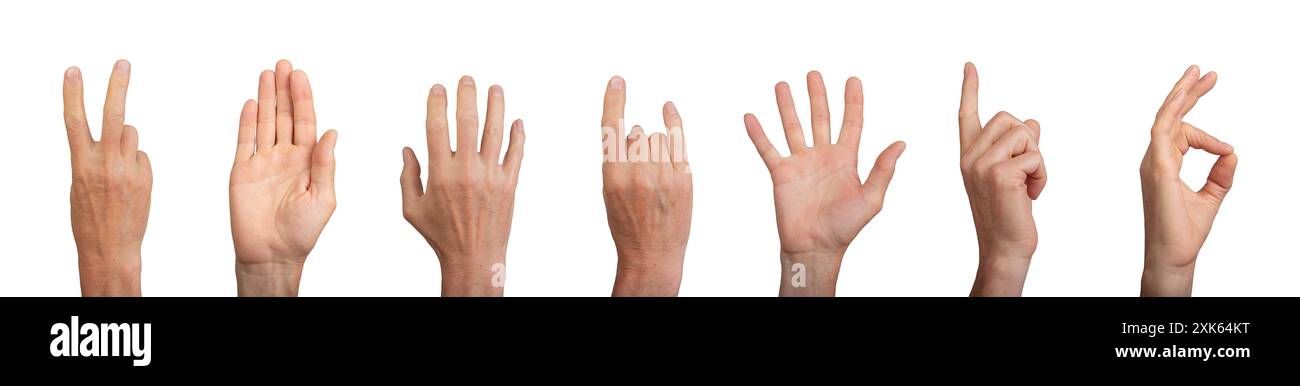 Different hand gestures set. Victory, V sign, hi, bye, horns rock ...