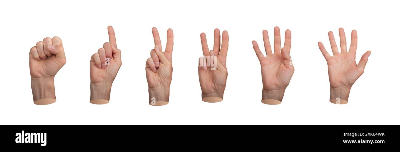 Hands counting, fingers count, from null, one to five, isolated on white background Stock Photo ...