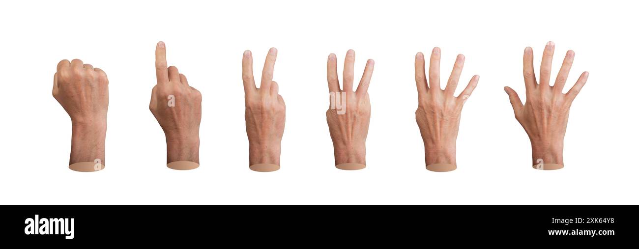 Hands counting, fingers count from back side, from null, one to five, isolated on white ...